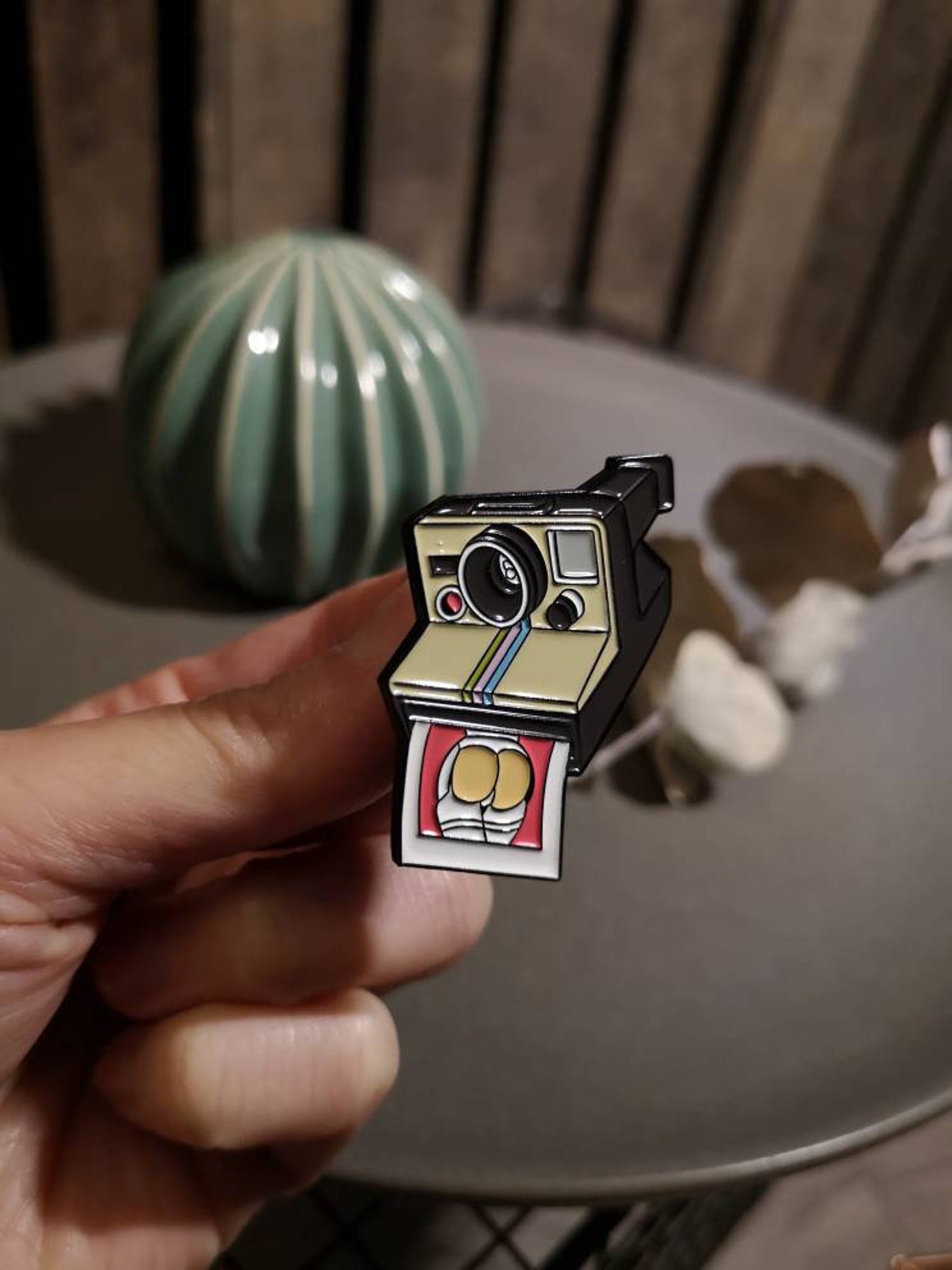 Polaroid Camera Pin Humorous Pins Funny Pins Cheeky Pins LOL Pins ...