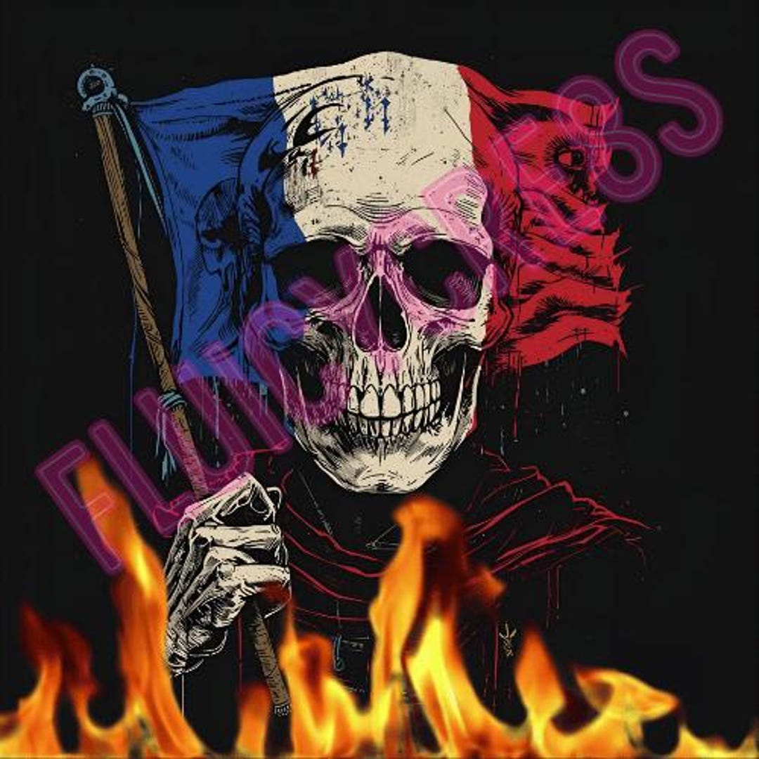 French Skull Style ANIMATED and Static Emote, Twitch, Streamer, GIF ...