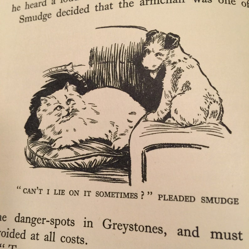 Susan and Smudge by Lewis Dutton Illustrations by Cyrus Hall 1939 RARE ...