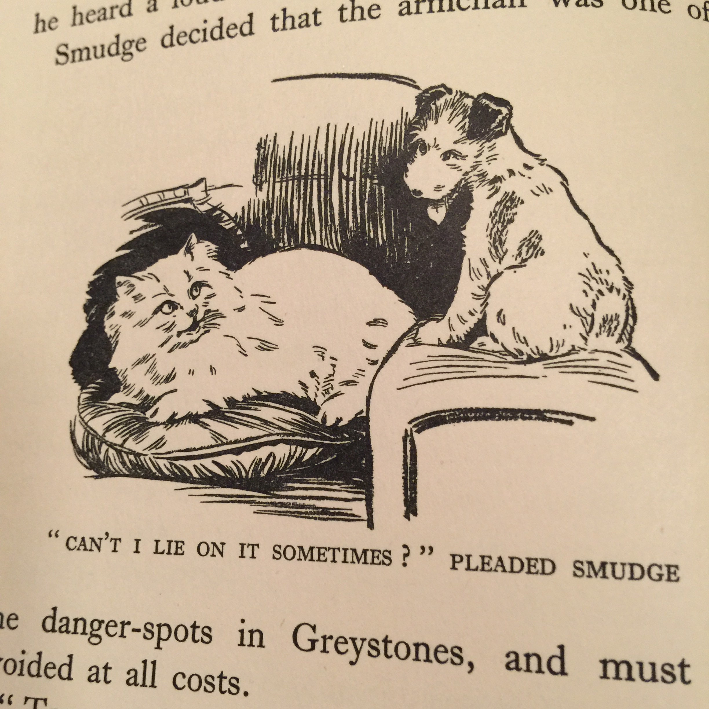 Susan and Smudge by Lewis Dutton Illustrations by Cyrus Hall 1939 RARE ...