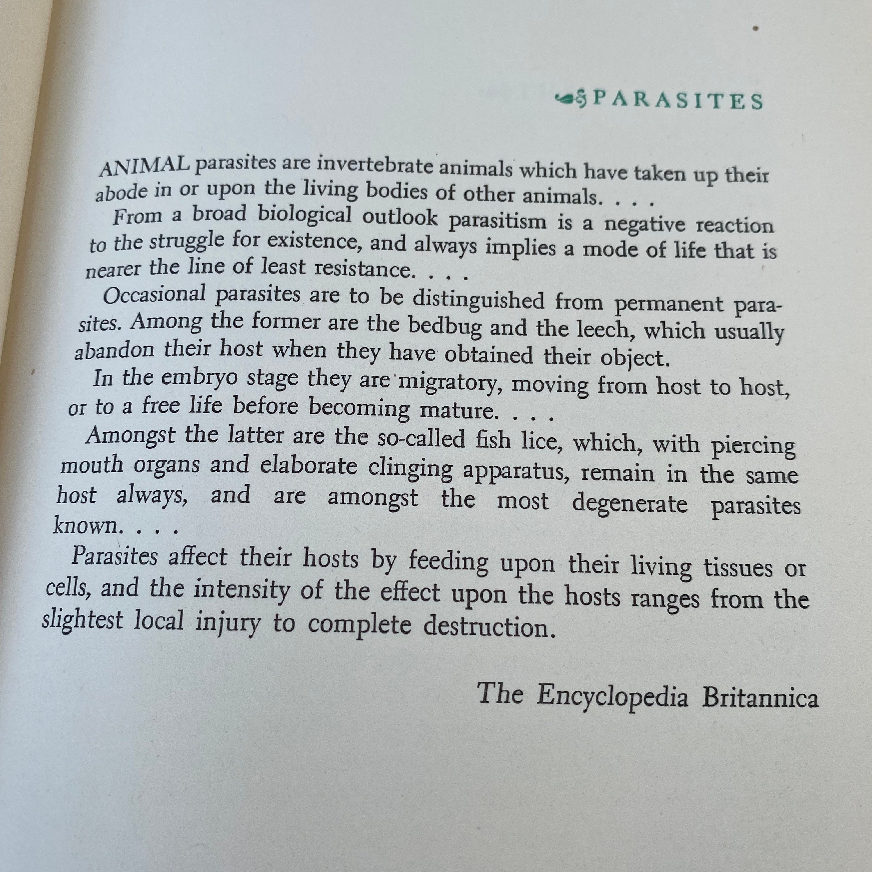 The Parasites by Daphne Du Maurier 1950 Vintage Book Fiction Novel ...