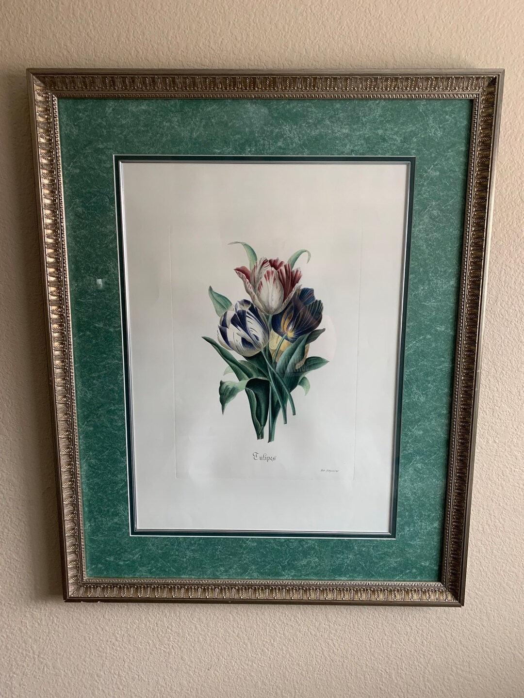 Painted Etching From Pierre Joseph Redoute's “tulips #3” by Gallo ...