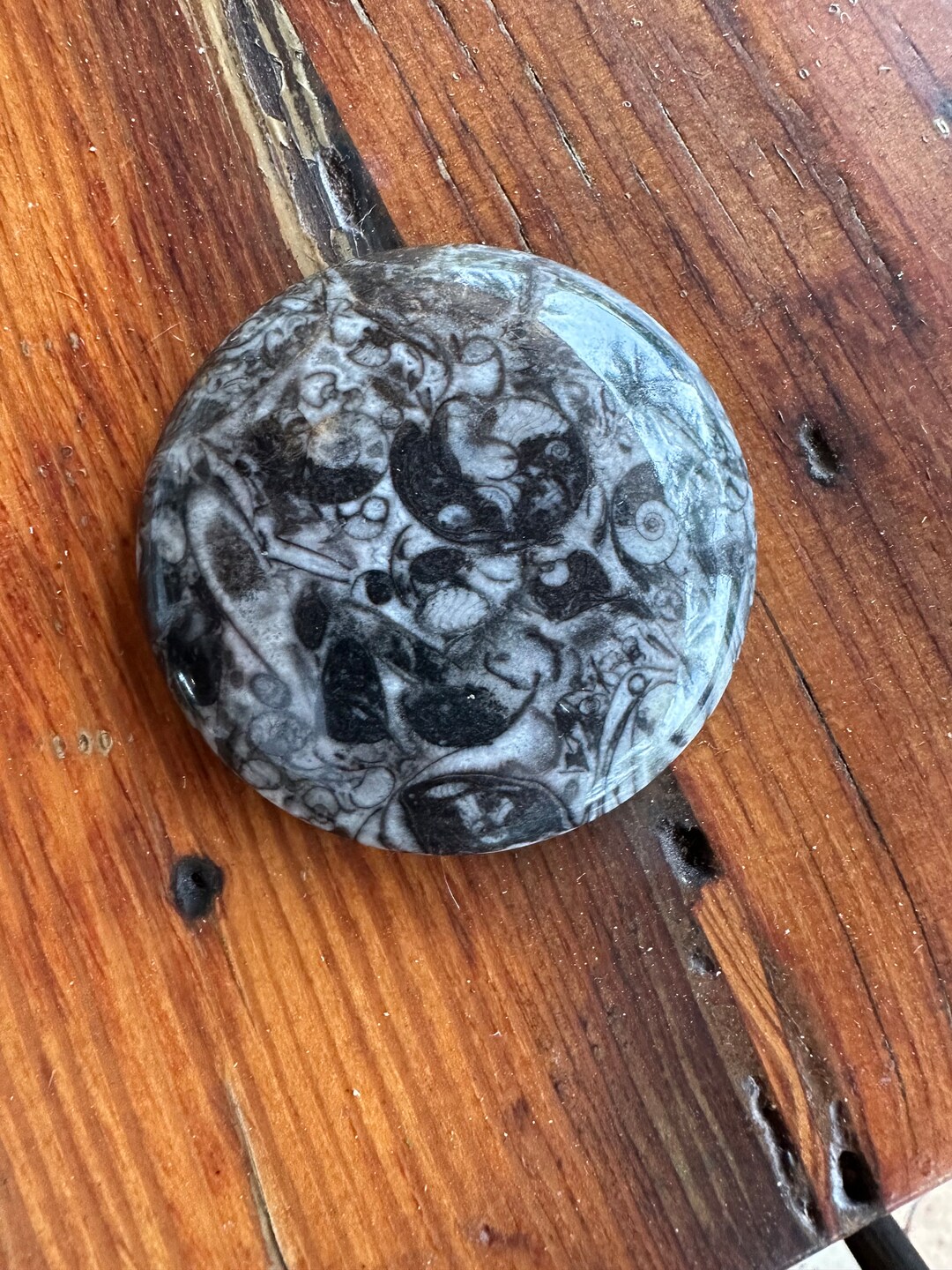 Beautiful Large Round Picasso Jasper Collector Piece - Etsy