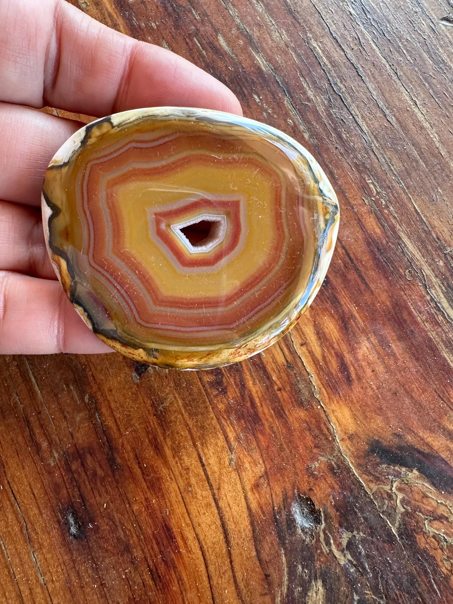 Gorgeous Collector Laguna With Beautiful Colors - Etsy