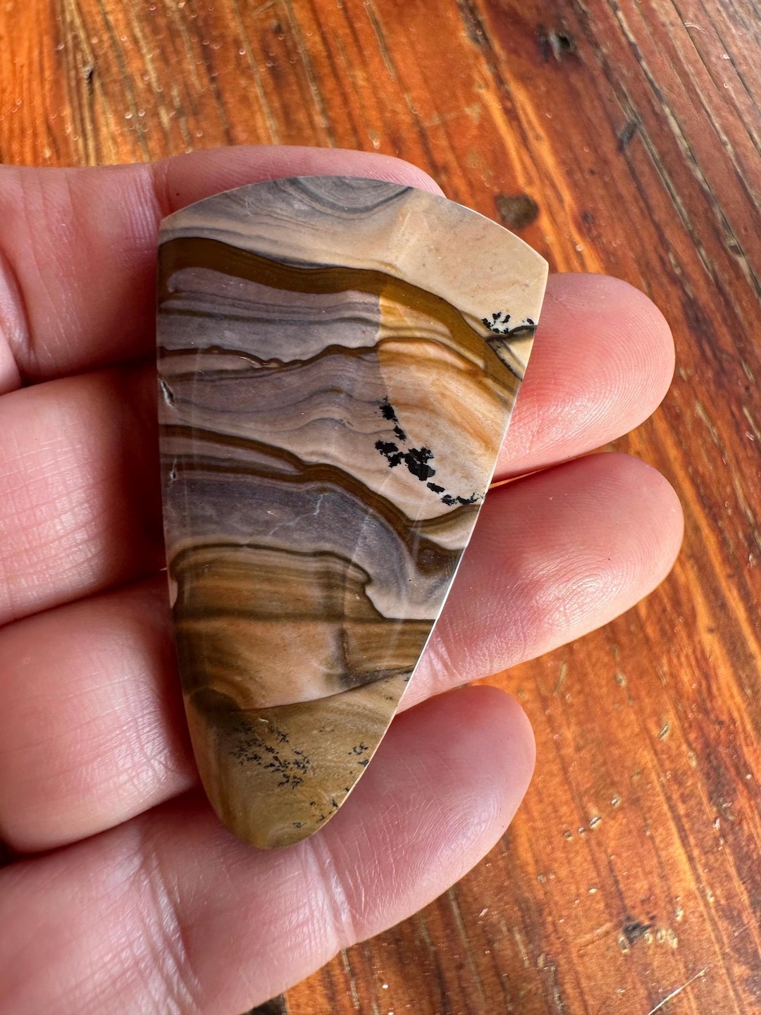 Collector Biggs Jasper With Beautiful Colors and Patterns - Etsy
