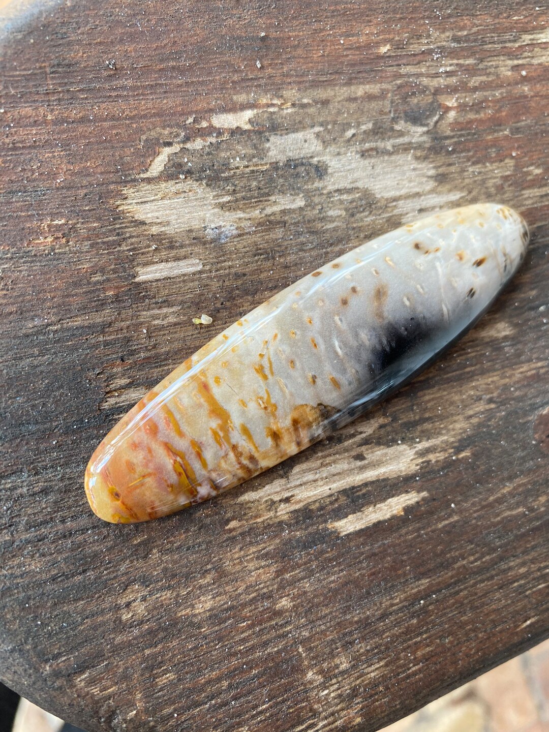 Beautiful Piece of Agatized Palm Wood - Etsy