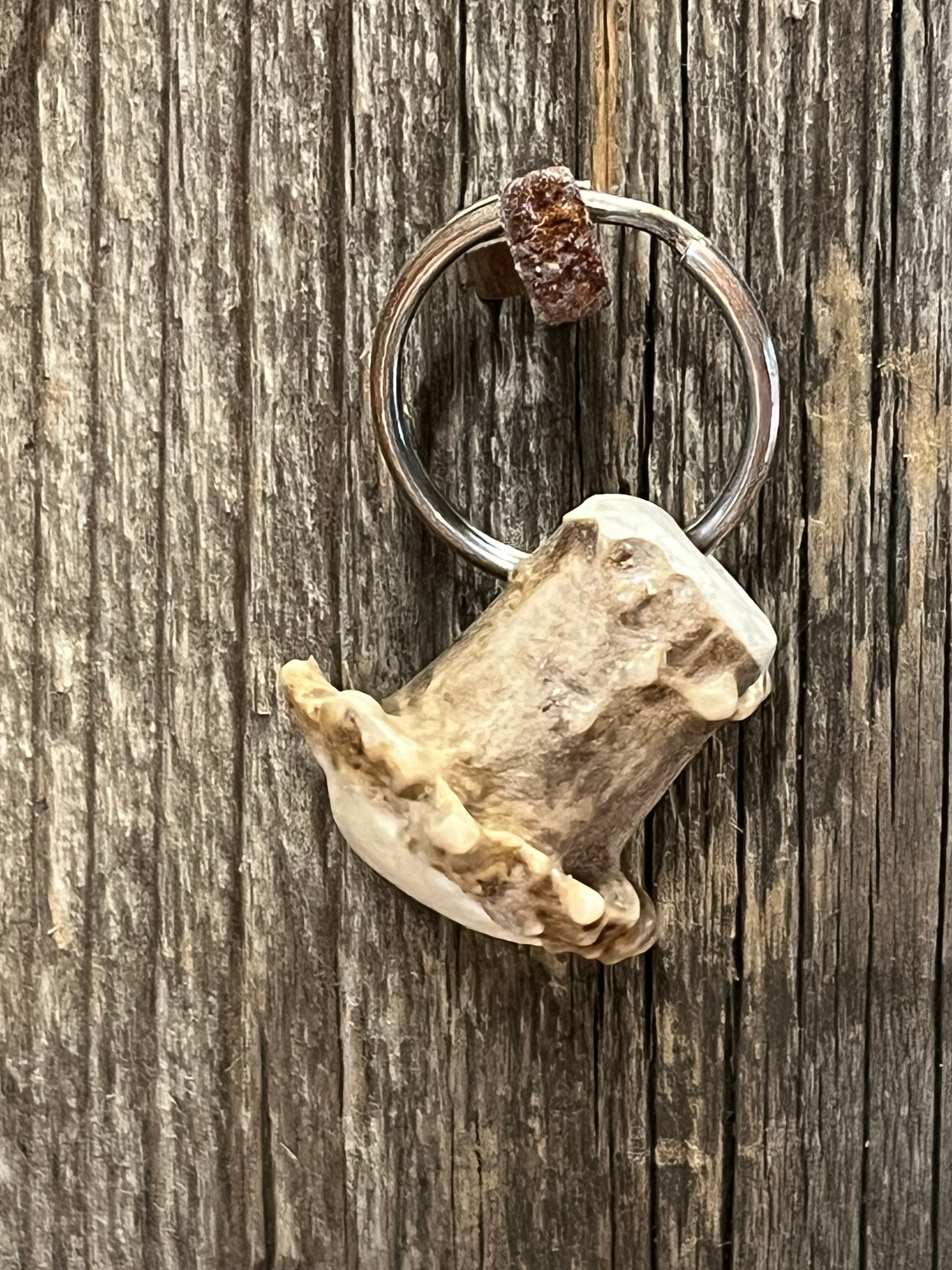 Antler Key Chain - Etsy