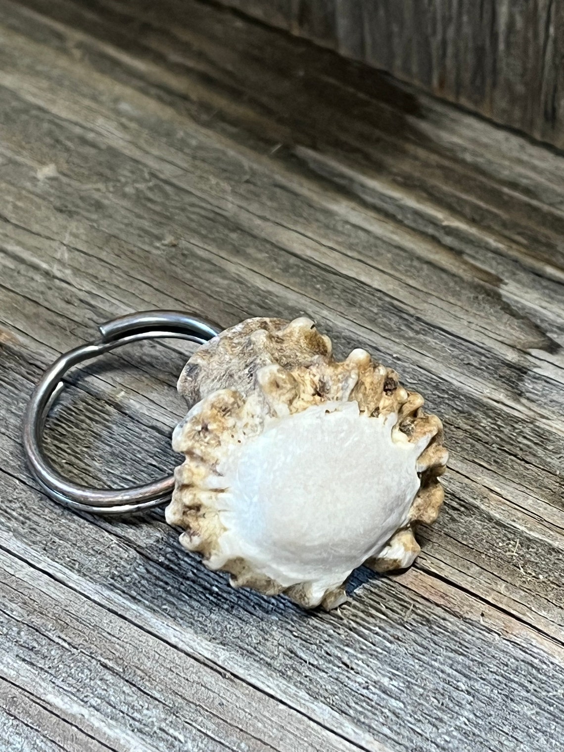 Antler Key Chain - Etsy