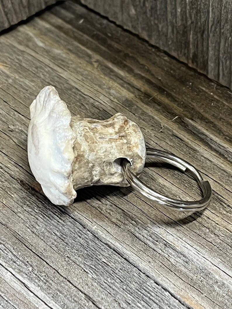 Antler Key Chain - Etsy