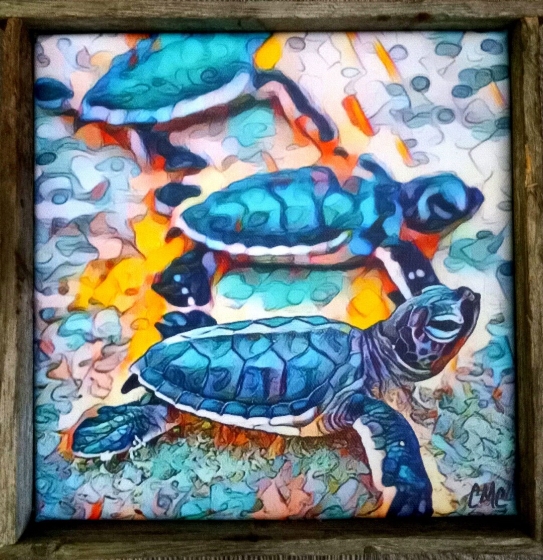 OBX Turtle Hatchlings 8x8 W/ Wood Frame - Etsy