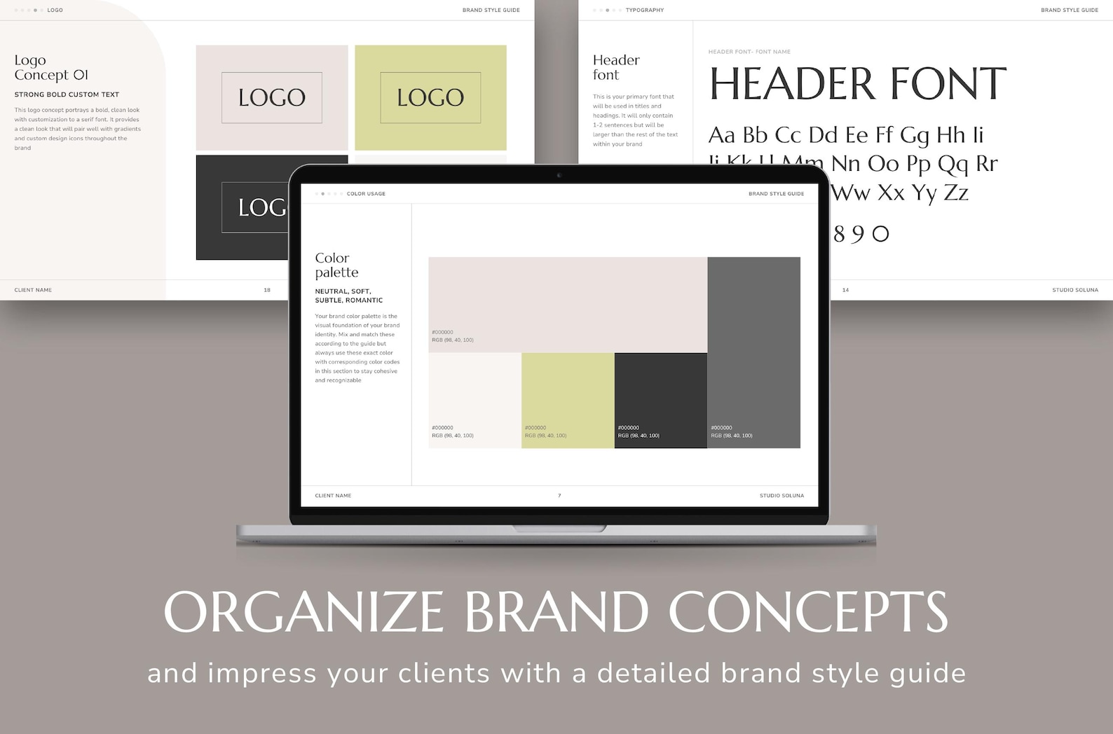 Brand Style Guide Canva and Indesign Slide Deck Presentation Template ...