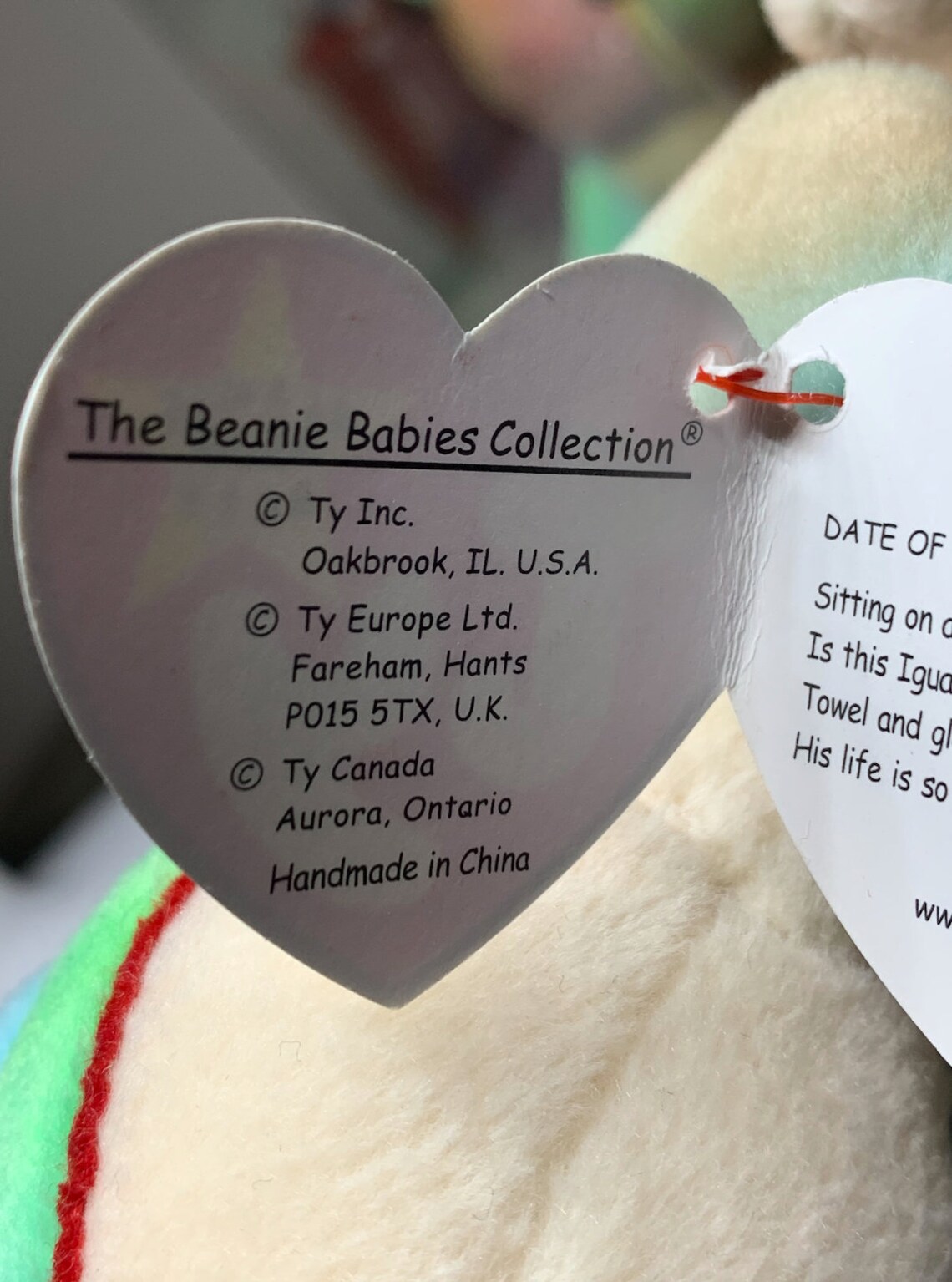 Ty 'iggy' Rare Beanie Baby (very Rare/ Retired + Errors) MINT Condition ...