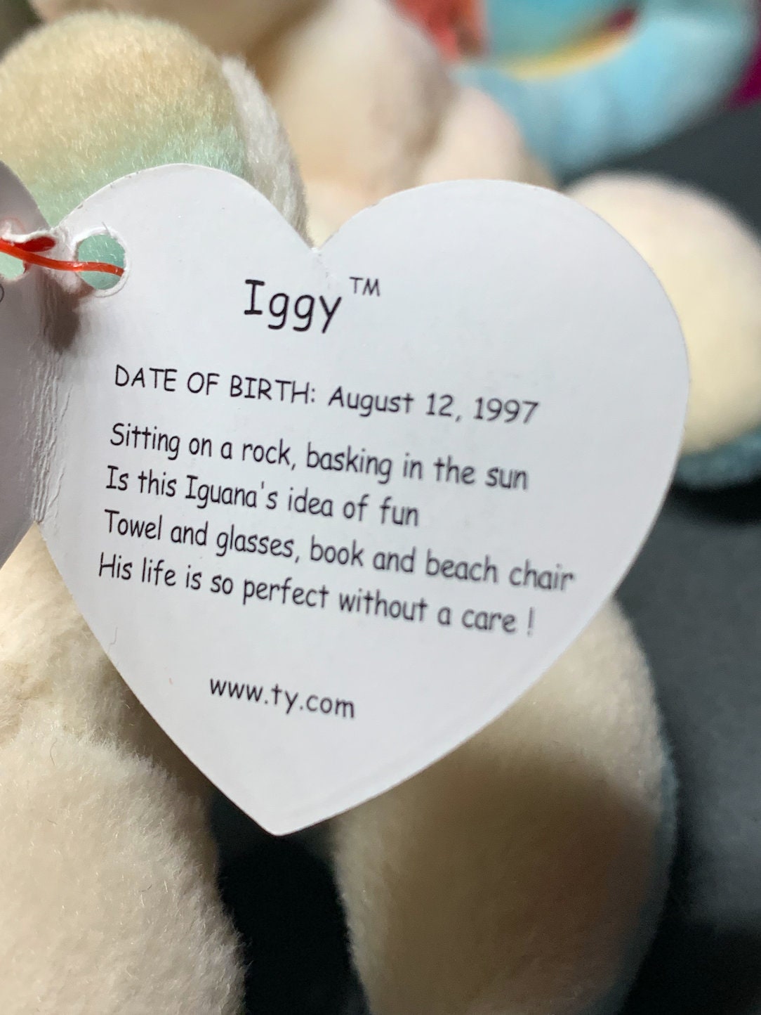 Ty 'iggy' Rare Beanie Baby (very Rare/ Retired + Errors) MINT Condition ...