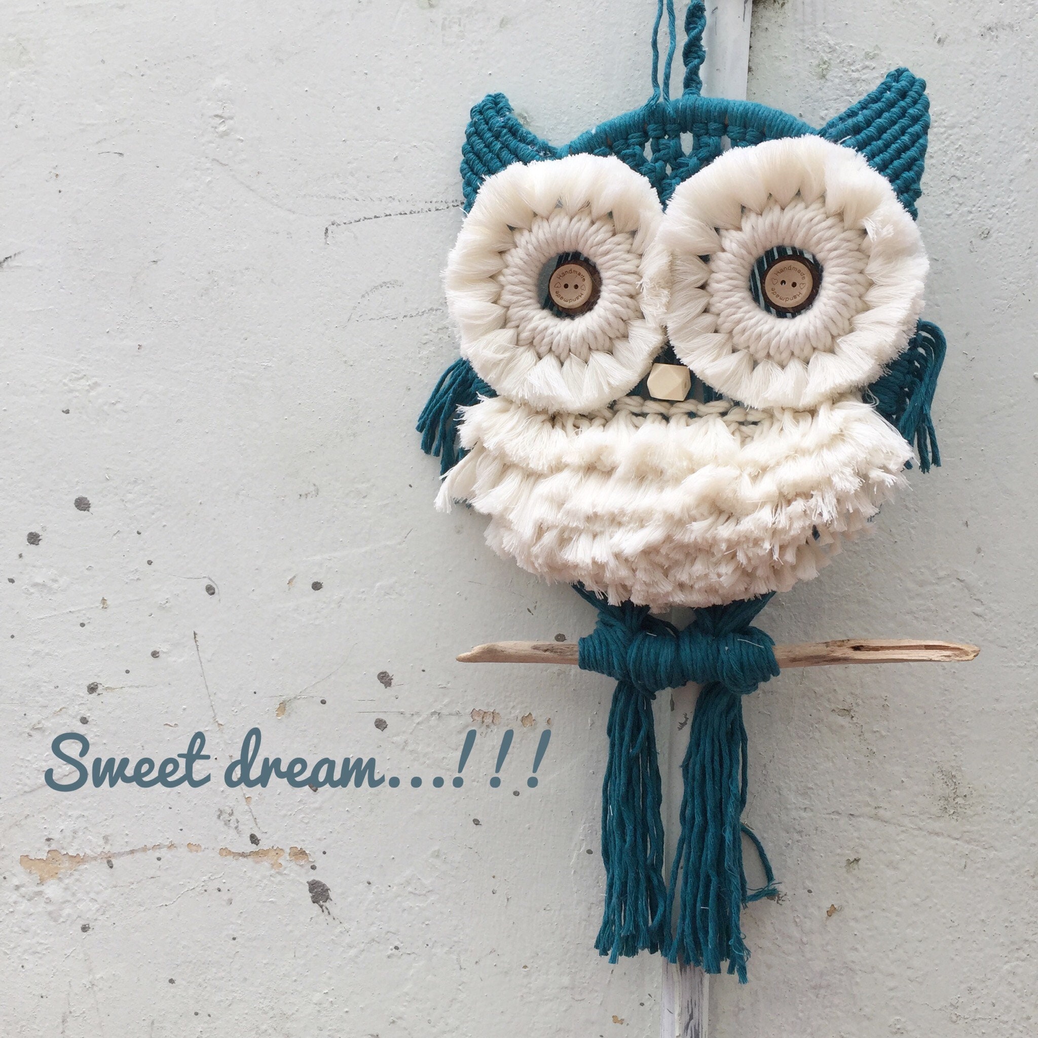 Macrame Diy Kit Macrame Owl Pattern Easy DIY for Beginners - Etsy