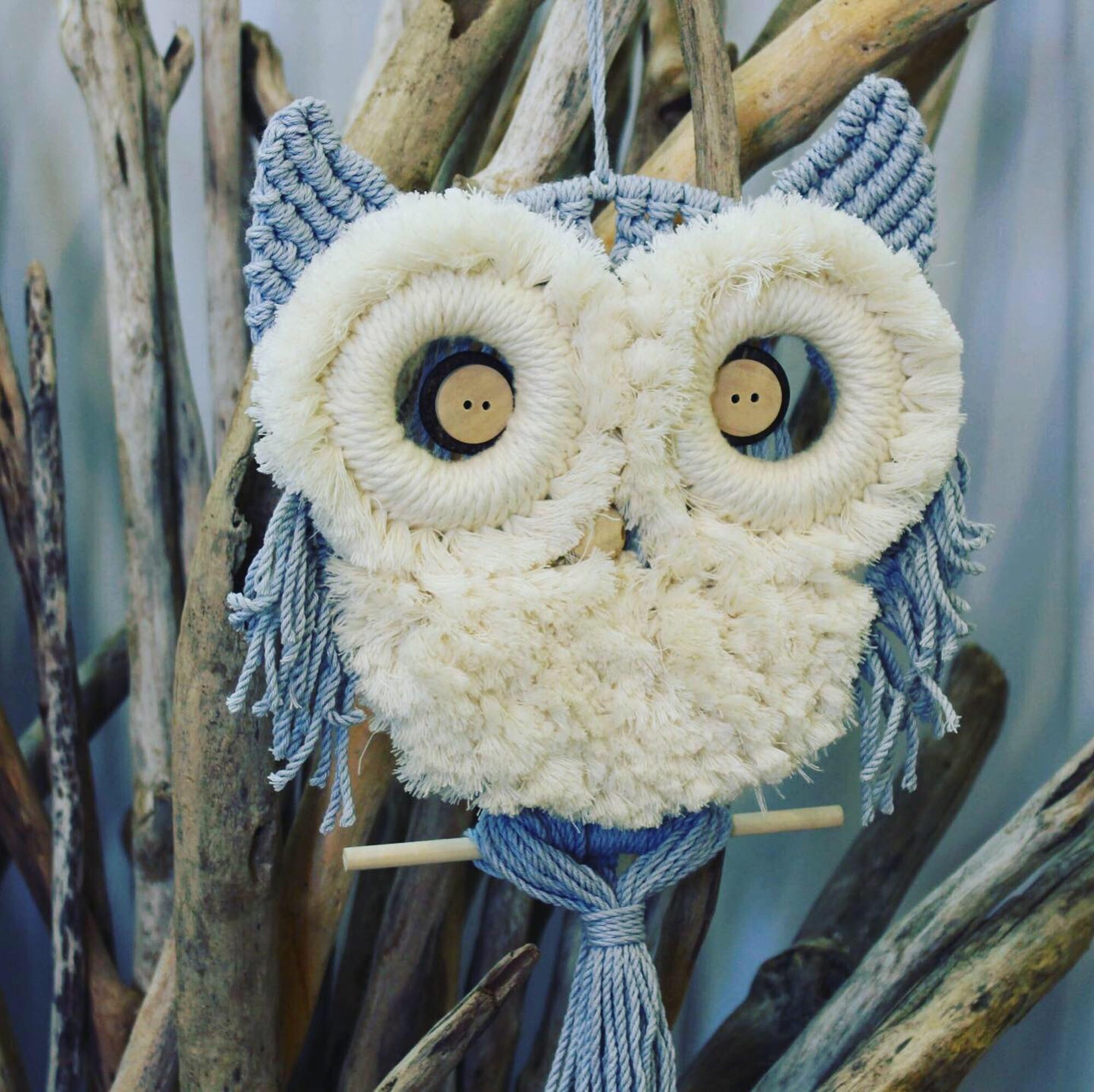 Macrame Diy Kit Macrame Owl Pattern Easy DIY for Beginners - Etsy