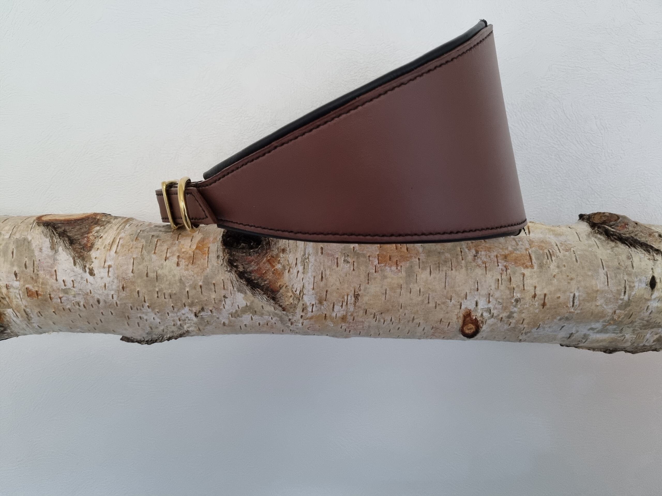 Padded Leather Hound Collar - Etsy