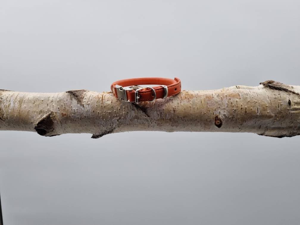 Quick Release Leather Roll Neck Collar - Etsy