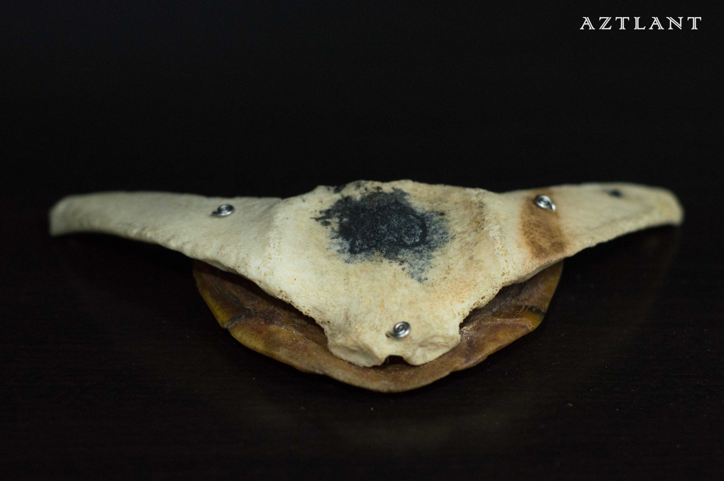 Mayan Bat God (camazotz) Carved in Turtle Shell and Beef Bone - Etsy