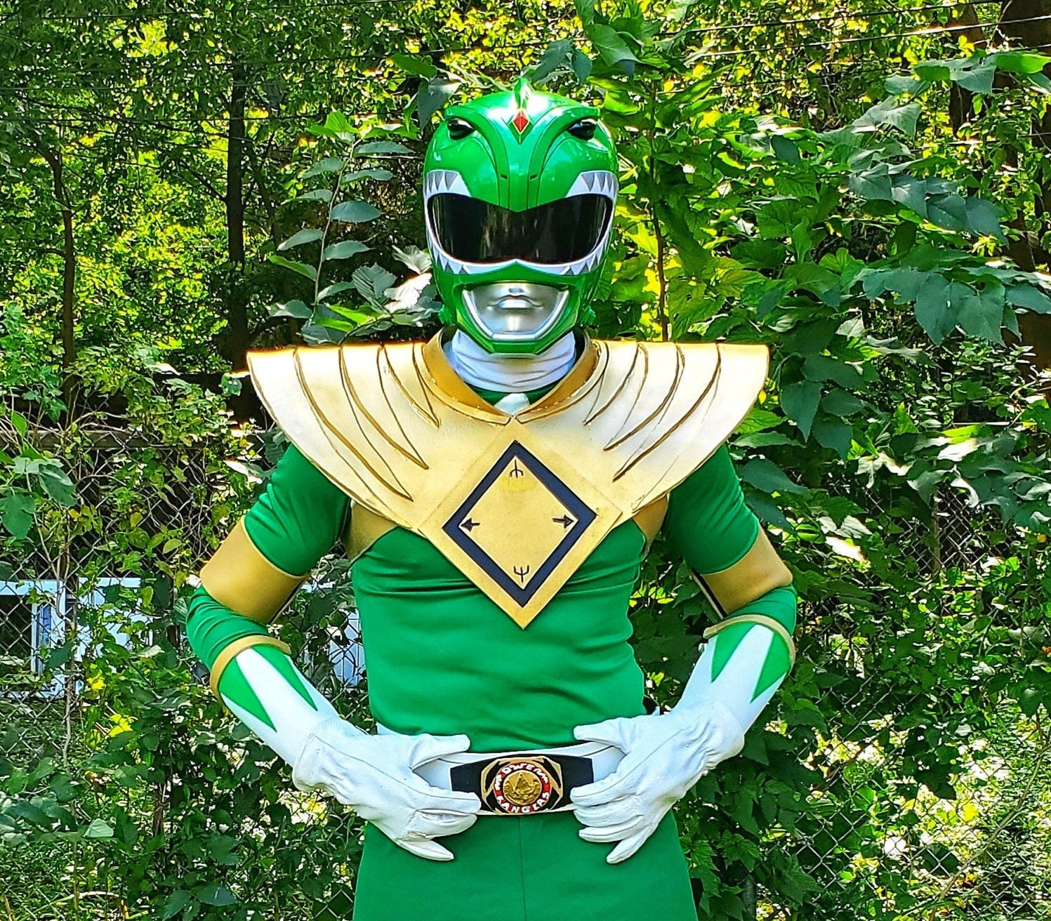 Green Ranger Dragon Power