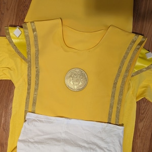 Mighty Morphin Power Rangers Ninjetti Cosplay Costume - Etsy