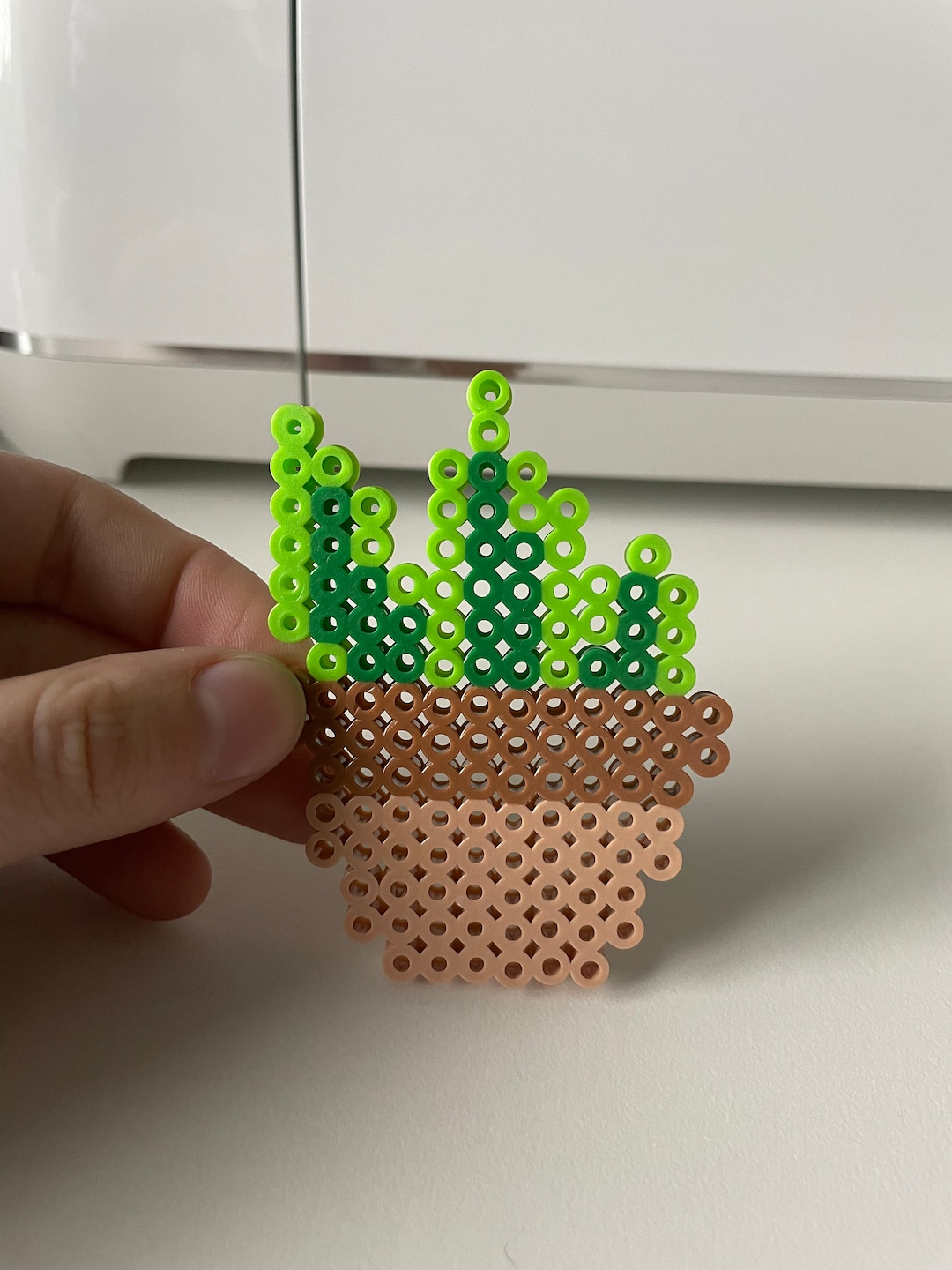 Snake Plant Perler Fuse Bead Art - Etsy