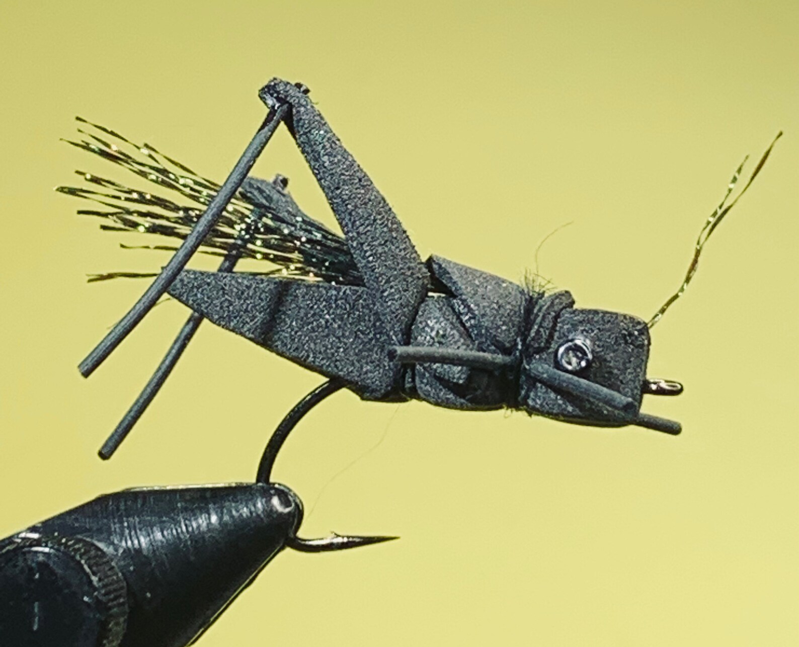 Cricket Fly - Etsy