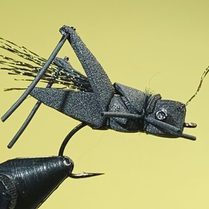 Cricket Fly - Etsy