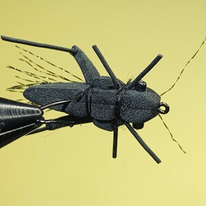Cricket Fly - Etsy