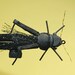 Cricket Fly - Etsy