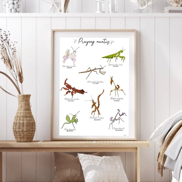 Praying Mantis - Etsy