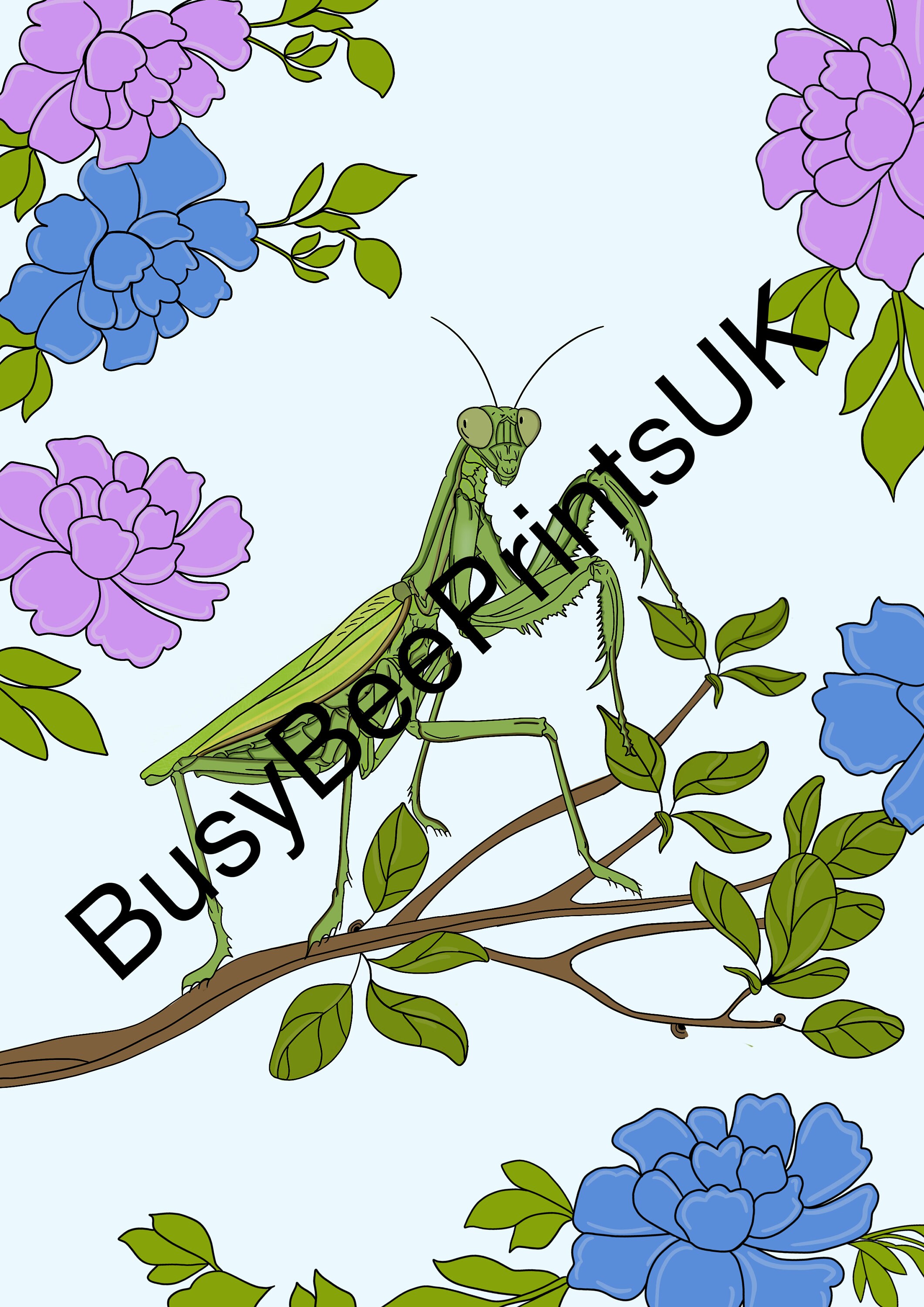 Praying Mantis A4 Print NO FRAME - Etsy