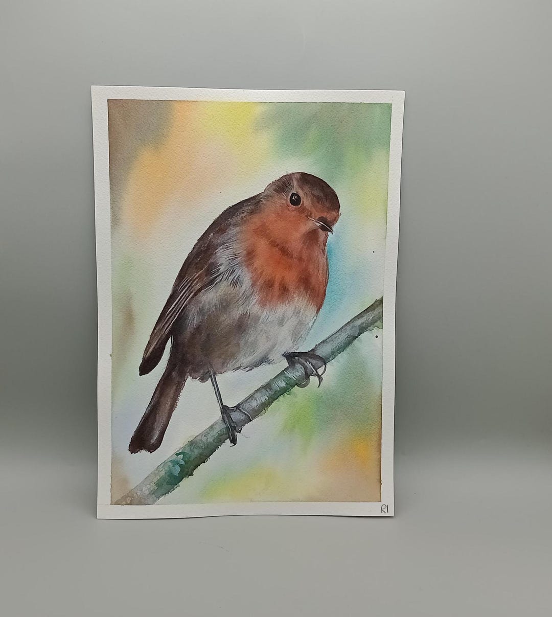 Fierce and Cute Robin Redbreast Bird Original Watercolour Painting ...