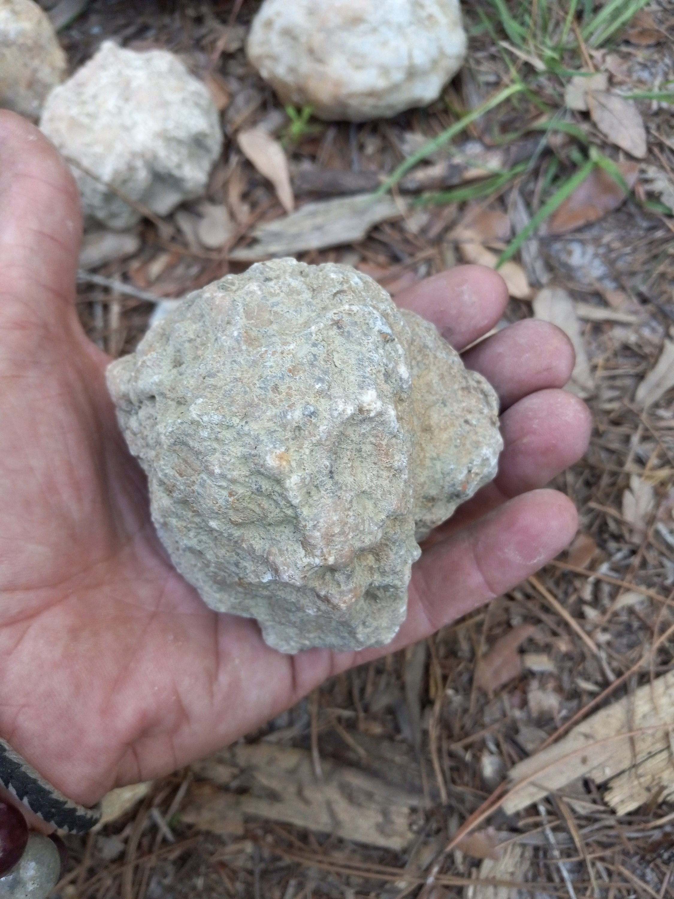 Plus Size Break Your Own Kentucky Geodes, Geode Lot - Etsy