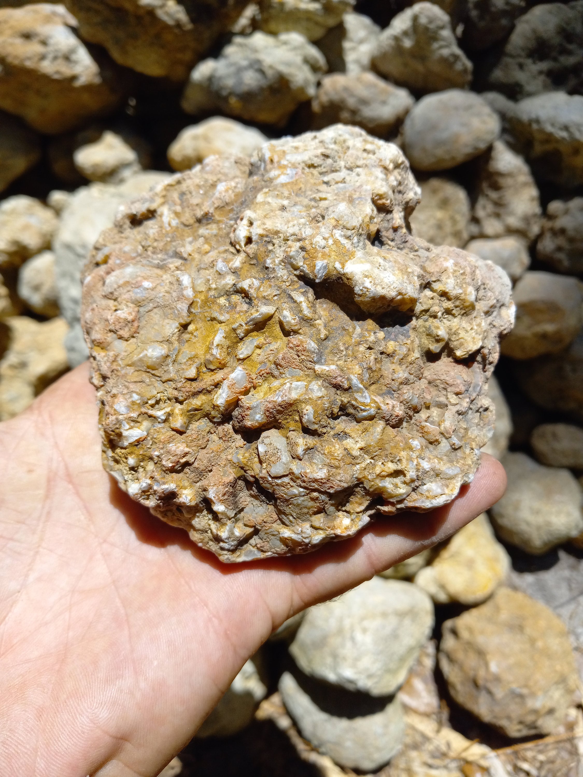 Break Your Own Kentucky Geodes, 5lb Lot, Wholesale Geodes, Bulk Geodes ...