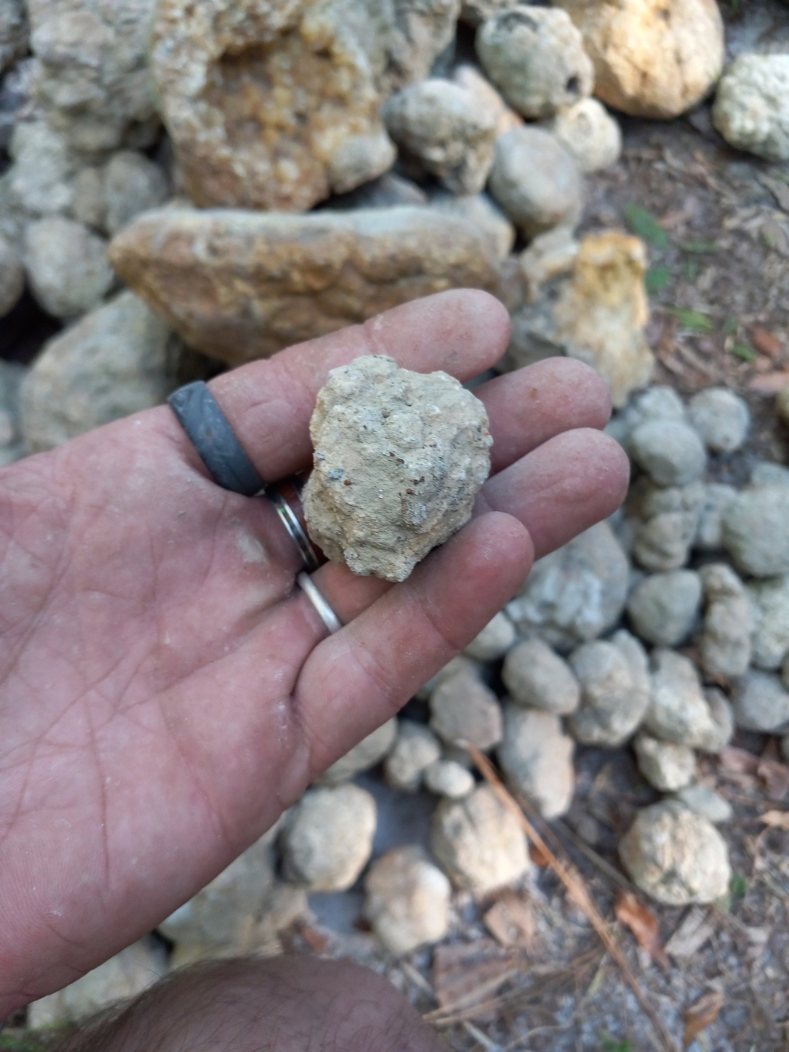 Tiny Size Break Your Own Kentucky Geodes, Small Geodes, Geodes Lot - Etsy