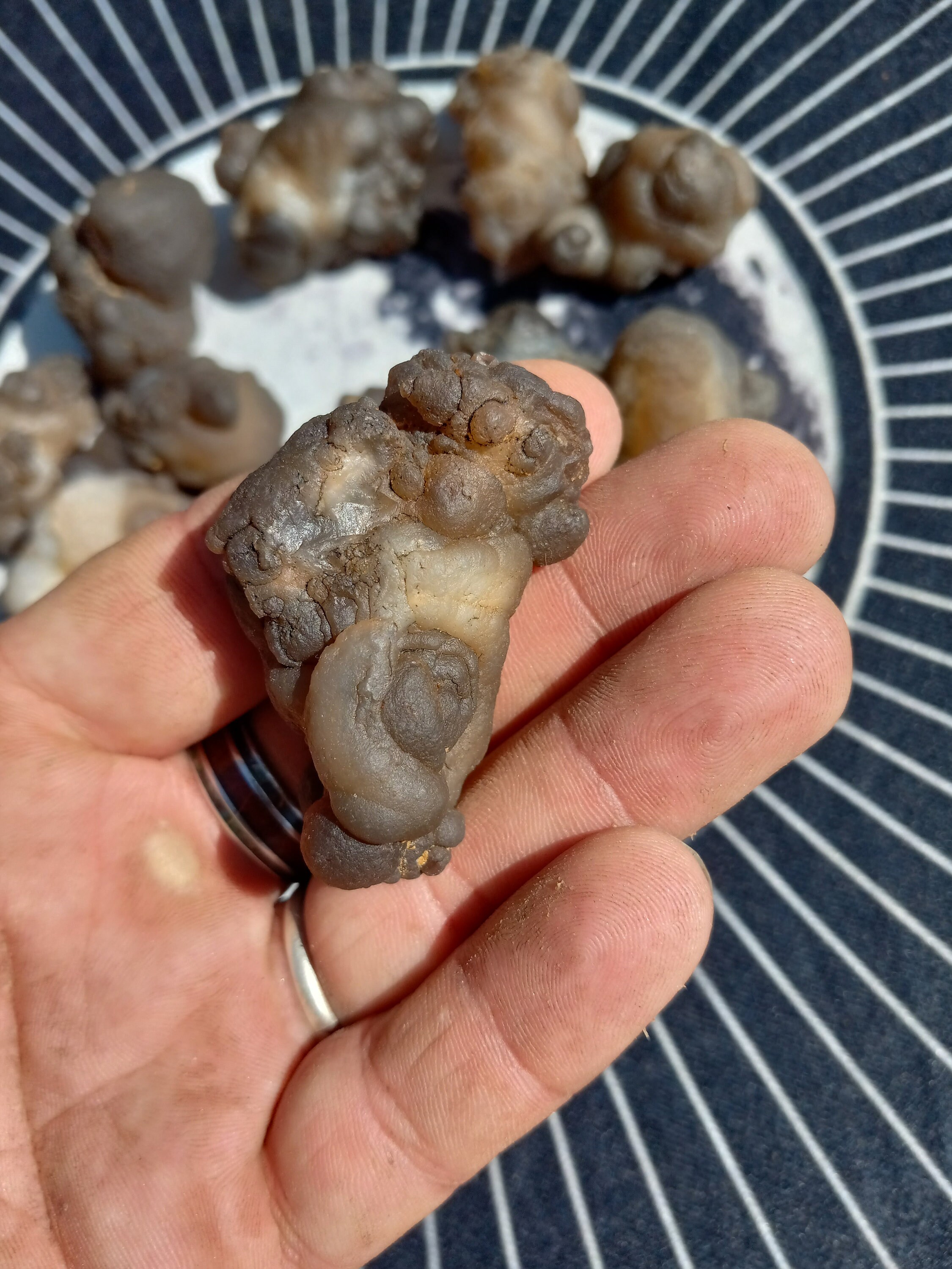 Panda Agate Top Quality, Womb Stone, Saharan Chalcedony, Truffle ...