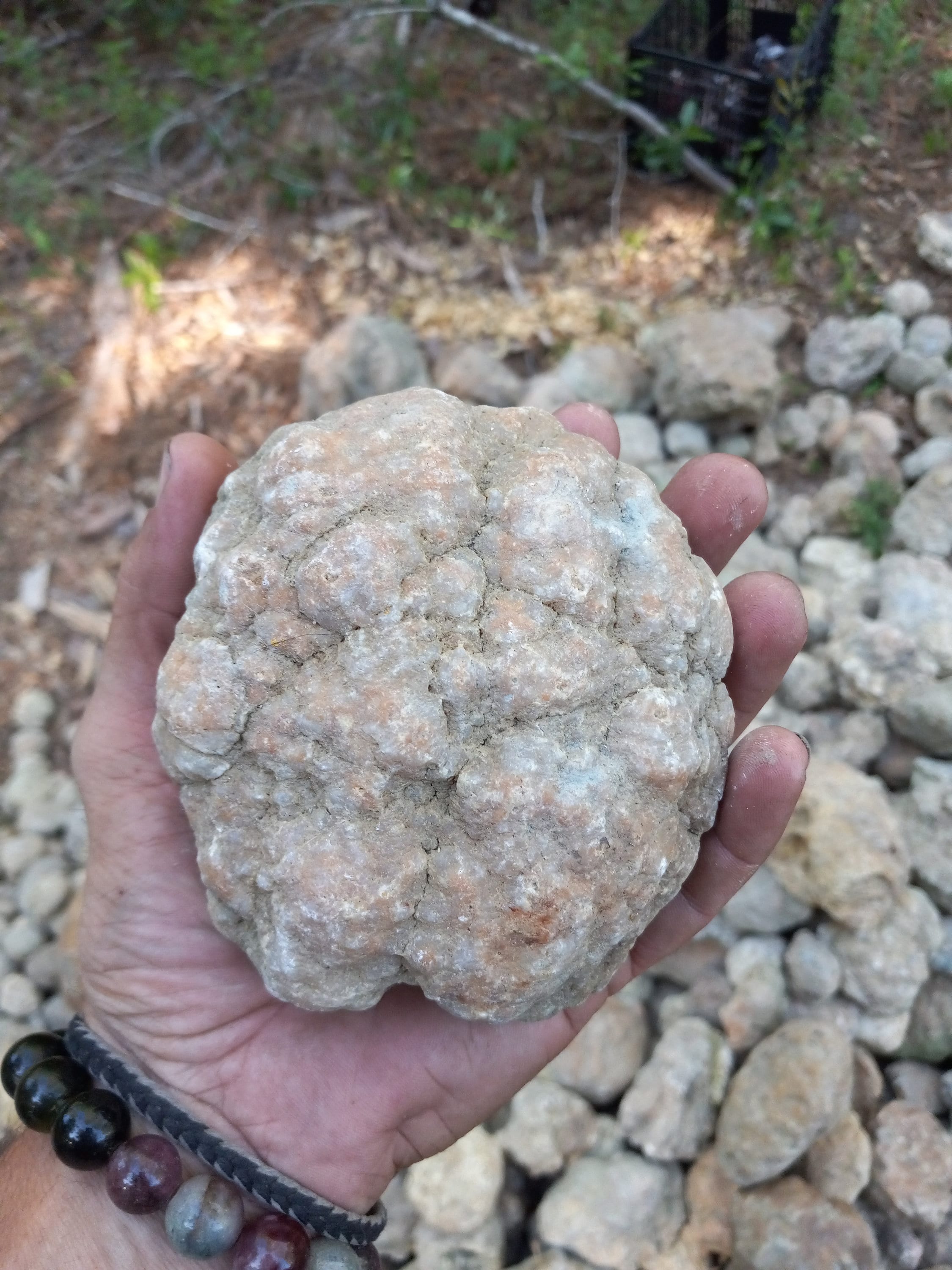 Plus Size Break Your Own Kentucky Geodes, Geode Lot - Etsy