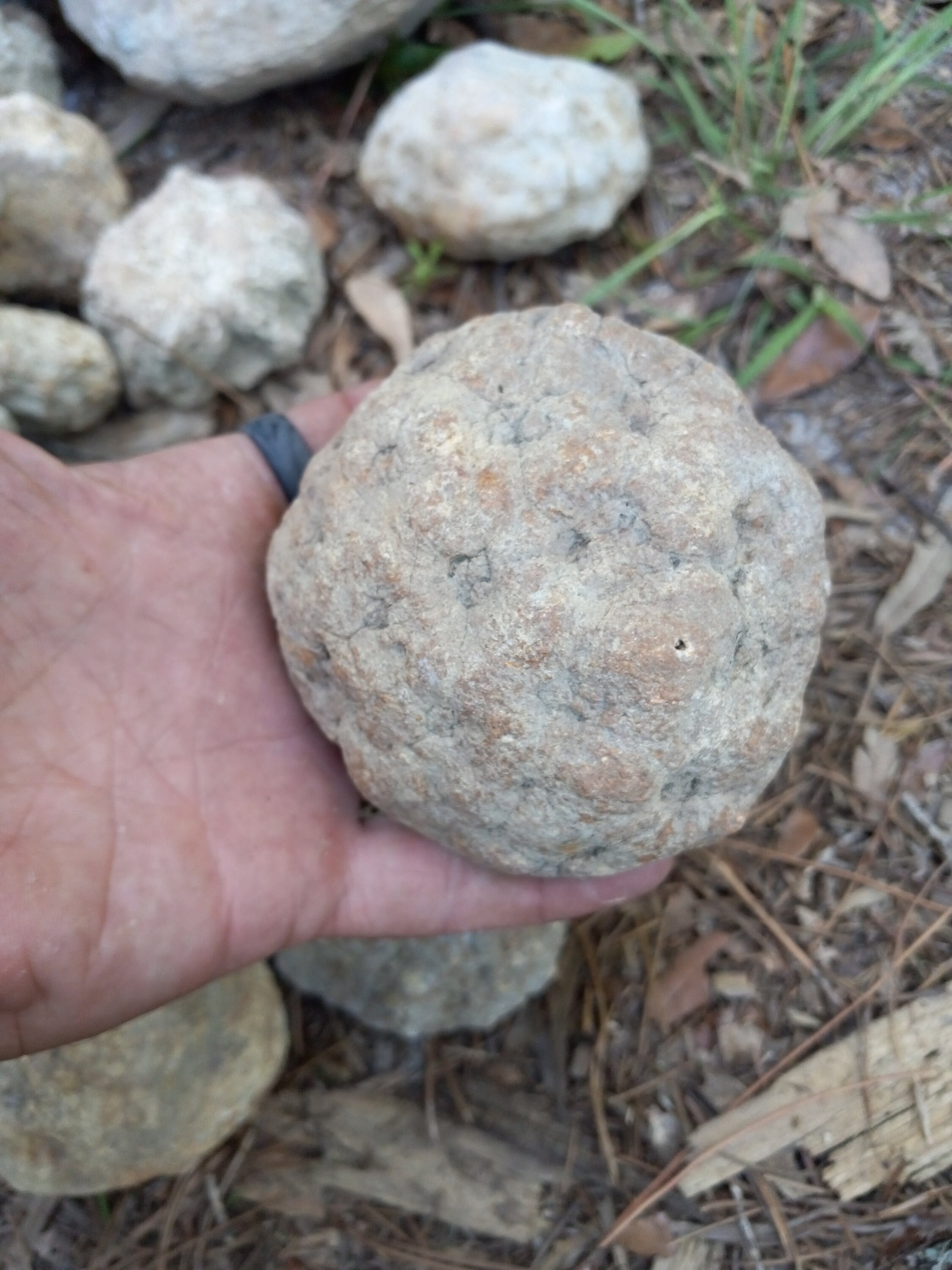 Plus Size Break Your Own Kentucky Geodes, Geode Lot - Etsy