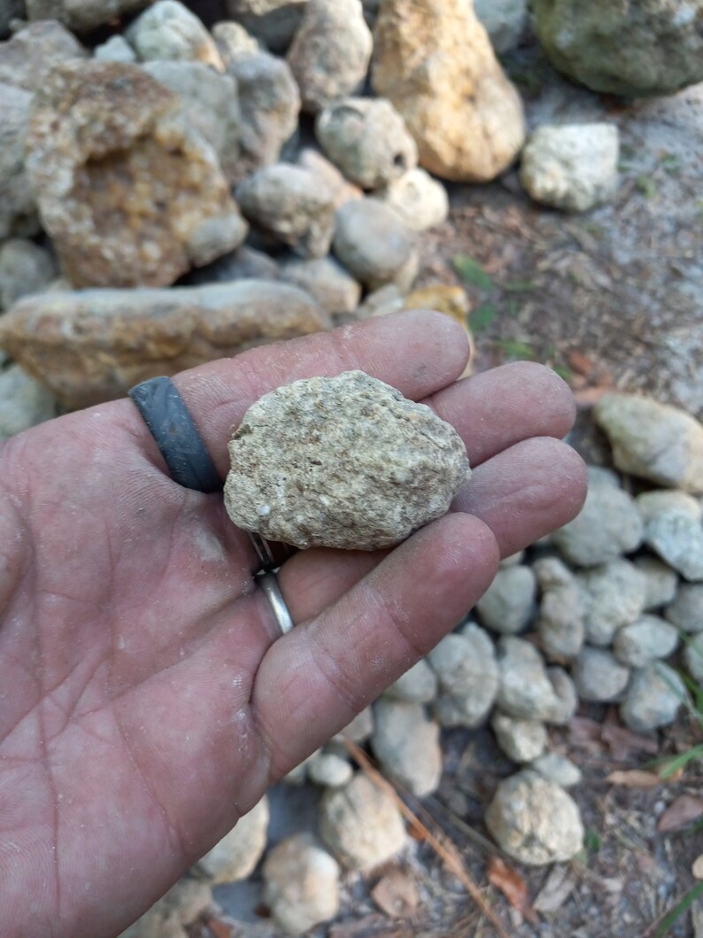 Tiny Size Break Your Own Kentucky Geodes, Small Geodes, Geodes Lot - Etsy