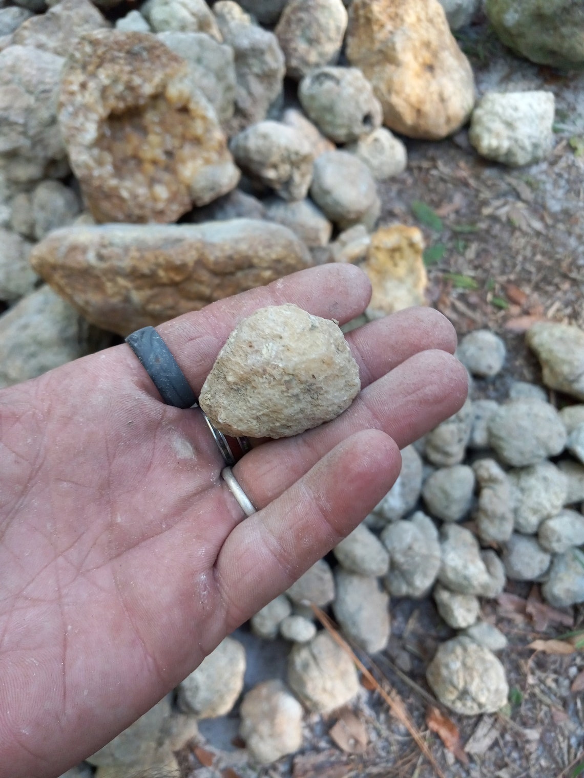 Tiny Size Break Your Own Kentucky Geodes, Small Geodes, Geodes Lot - Etsy