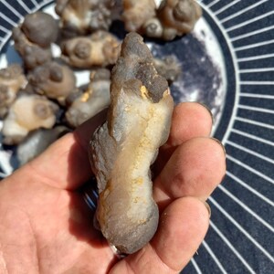 Panda Agate Top Quality, Womb Stone, Saharan Chalcedony, Truffle ...