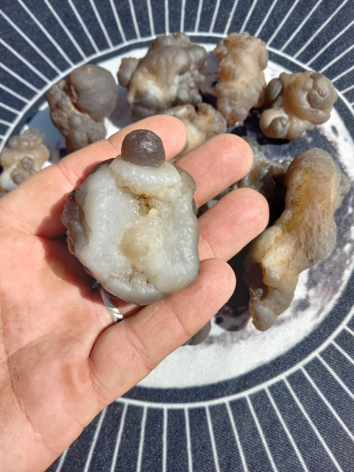 Panda Agate Top Quality, Womb Stone, Saharan Chalcedony, Truffle ...