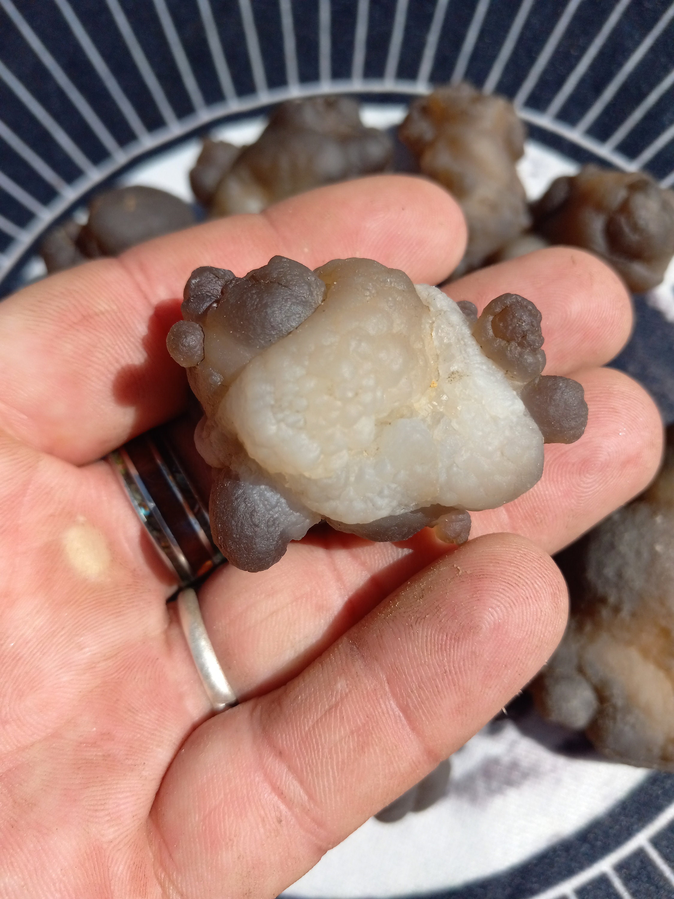 Panda Agate Top Quality, Womb Stone, Saharan Chalcedony, Truffle ...
