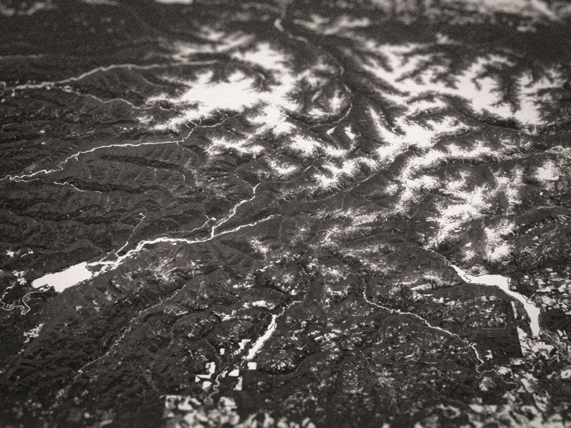 Forests of Michigan Map Big Poster Printable Digital - Etsy