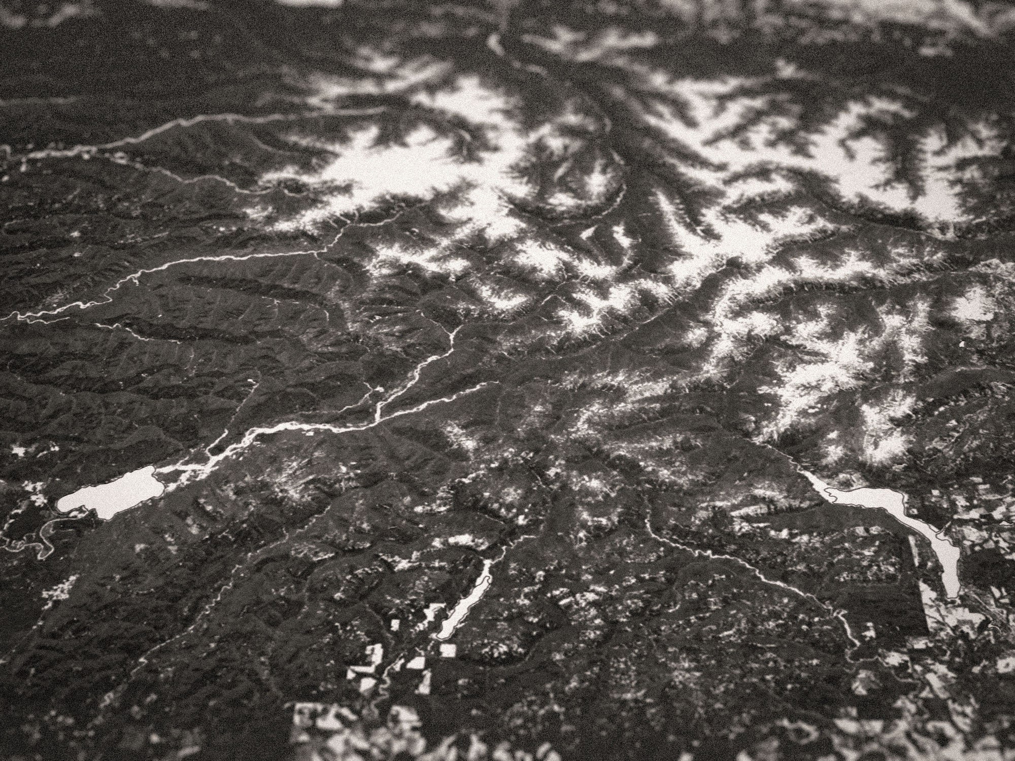 Forests of Iowa Map Big Poster Printable Digital Download - Etsy