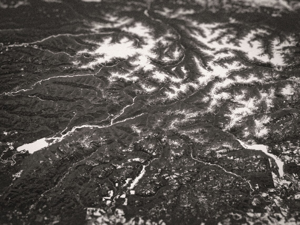 New York Forests Map Art: Minimalist Black and White Print (digital ...