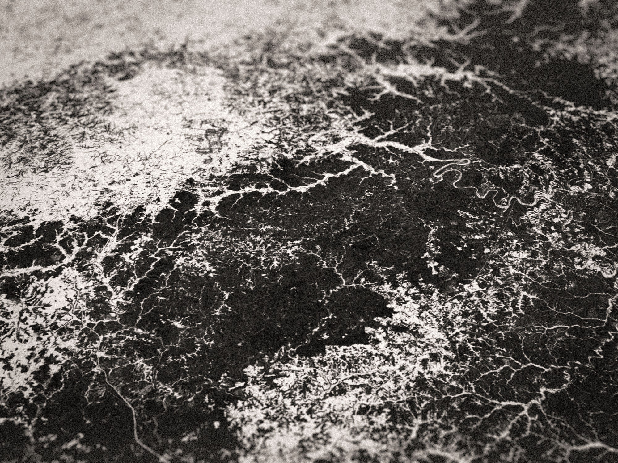 Forests of Ohio Map Big Poster Printable Digital Download - Etsy