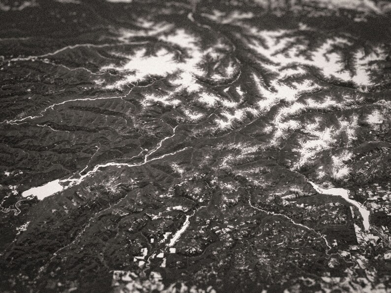 Forests of Vermont Map Big Poster, Printable Digital Download, Elegant ...