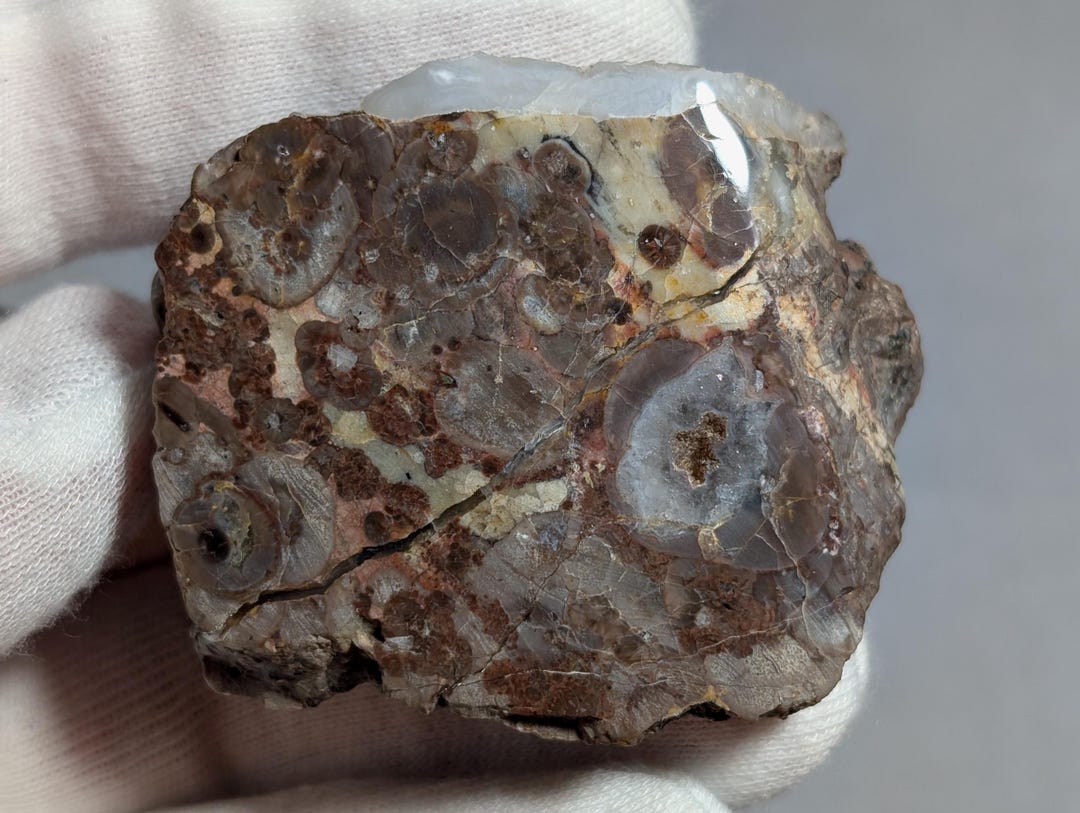 Polished Orbicular Rhyolite Specimen With Thundereggs, Cristobalite ...
