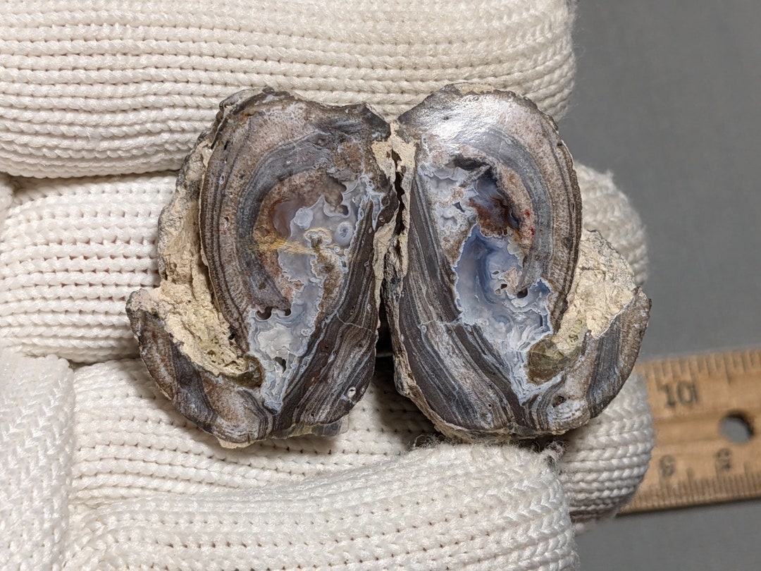 Thunderegg/geode Polished Pair From Dugway, Utah Fluorescent Green in ...